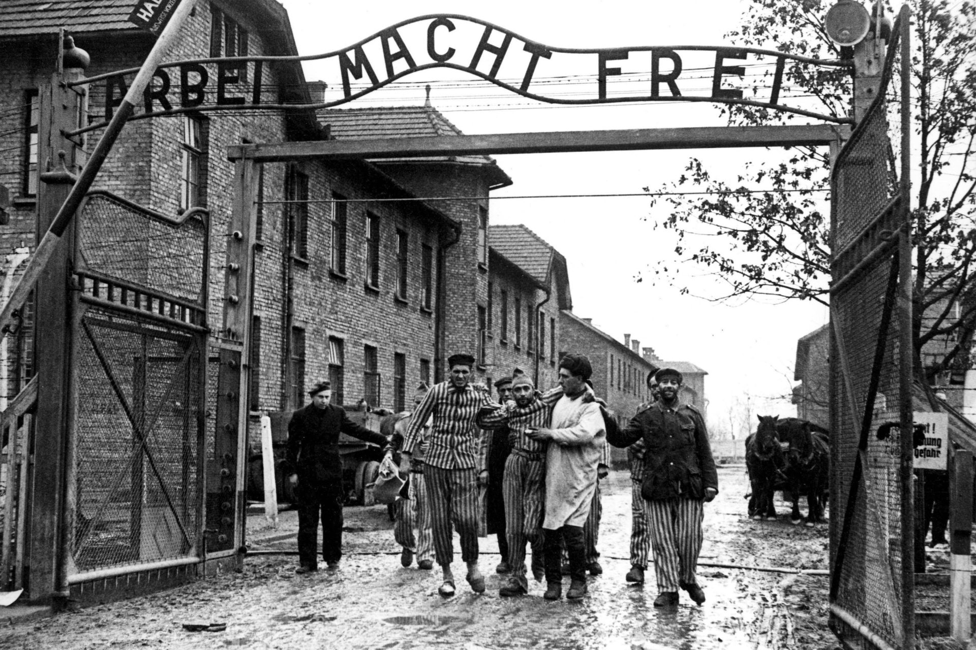 Massachusetts School Apologizes for Holocaust Lesson | Matzav.com