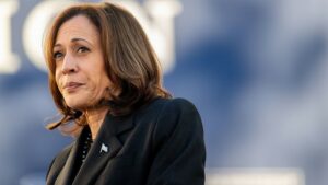 Kamala Harris’ Interview On TikTok’s ‘Subway Takes’ Was So Bizarre, ‘We ...