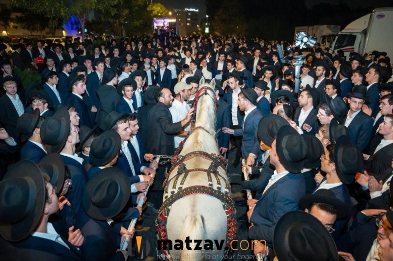 With a Horse and Carriage: Joyous Celebration at Ateres Shlomo as ...
